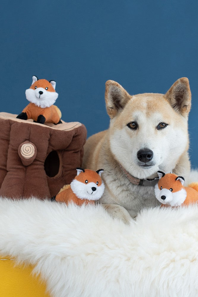 Dog Toys – Savvy Chic Pawz